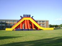 China PVC Tarpaulin Safety Giant Inflatable Slide For Adult And Kids for sale