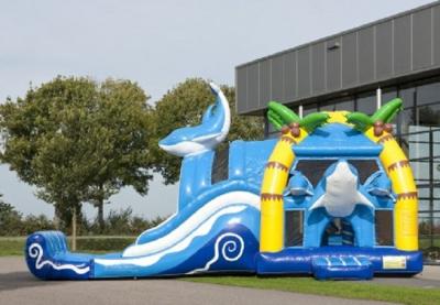 China 2 In 1 Dolphin Big Bouncy Castles Inflatable With Wacky Dual Slide For Amucement for sale