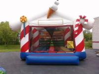 China Large Animal Candyland Commercial Grade Bounceland Bounce House For Party for sale