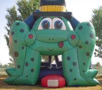 China Frog Durable 0.55mm PVC Outdoor Inflatable Bouncers With Air Blower for sale