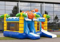 China Clown Water Slide Combo , Bounce House Slide Combo With Slide For Kids Party for sale