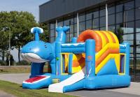 China Whale Inflatable Combo for sale