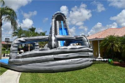 China Customized Garden Dual Lane Inflatable Water Slides Pool For Fun for sale