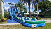 China Blue Jungle Theme Large Double Lane Water Slide With Big Pool for sale