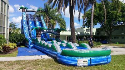 China Blue Jungle Theme Large Double Lane Water Slide With Big Pool for sale