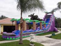 China Purple Paradise Inflatable Water Slides With Pool / Adult Inflatable Wet Slide for sale