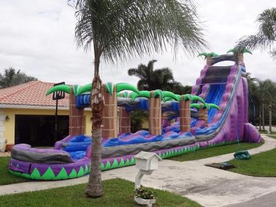 China Purple Paradise Inflatable Water Slides With Pool / Adult Inflatable Wet Slide for sale