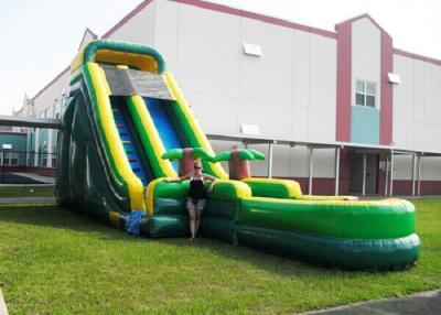 China Screamer Garden Water Slides Tropical Theme Kidwise Backyard Water Slide for sale