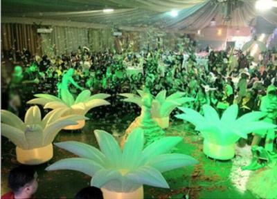 China Fantastic Led Inflatable Sunflower Lights For Romantic Marriage Proposal for sale