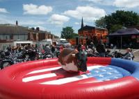 China Rodeo Bull / Bucking Bronco Inflatable Sports Games For Playground Equipment for sale