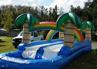 China Tropical 34ft Long Inflatable Water Slides Rentals With Large Pool for sale