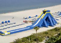 China Customized Commercial Inflatable Water Slides , Blue Hippo Giant Inflatable Slide For Adult for sale