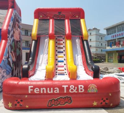 China PVC Tarpaulin Beetles Girl Inflatable Water Slides Double Lanes With Pool for sale