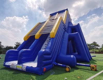 China Giant Commercial Inflatable Water Slides Cartoon Theme For Adults for sale
