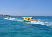 China PVC Tarpaulin Inflatable Water Toys / Inflatable Fly Fish Tube For Adult for sale