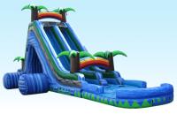 China 24Ft Wild Splash Slide , Blue Cliff Jungle Inflatable Double Lane Slide for sale