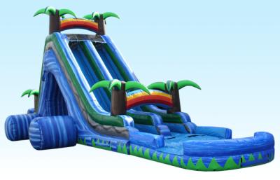 China 24Ft Wild Splash Slide , Blue Cliff Jungle Inflatable Double Lane Slide for sale