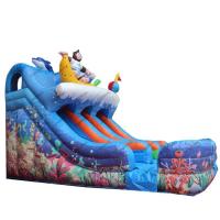 China Backyard Inflatable Water Slides Double Lane Water Slide With Swimming Pool for sale