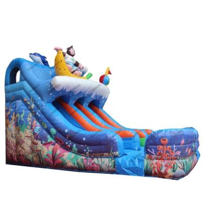 China Backyard Inflatable Water Slides Double Lane Water Slide With Swimming Pool for sale