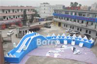 China Customized Seals Tooth Inflatable  Summer Blow Up Water Slides for sale