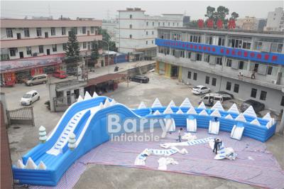 China Customized Seals Tooth Inflatable  Summer Blow Up Water Slides for sale