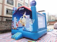 China Water Slide Trampoline Inflatable Castle For Commercial Game for sale