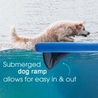 China Outdoor Small Dog Floating Inflatable Ladder Dog Ladder Ramp For Dogs Pet Dogs Climb Out Of Water for sale