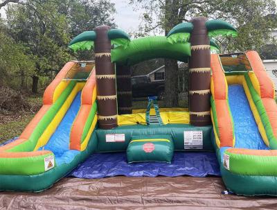 China Wet Or Dry Double Slide Tropical Bounce House Combo Jumping Castle For Kids for sale