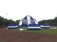 China Giant Inflatable Slide for sale
