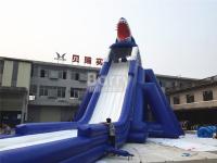 China Commercial Giant Sharp Long Inflatable  for Kids / Adult Aqua Park for sale