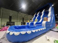 China Amusement Park  Outdoor Garden Big Kid Inflatable Double Water Slides For Teenagers Backyard for sale