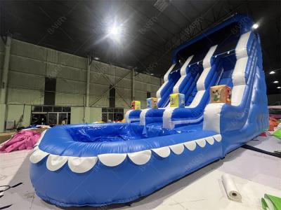 China Amusement Park  Outdoor Garden Big Kid Inflatable Double Water Slides For Teenagers Backyard for sale
