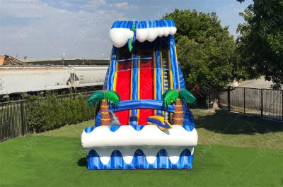 China Commercial Grade Large Outdoor Backyard 24ft SHARK SIGHTED DUAL LANE Slide For Kids And Adults for sale