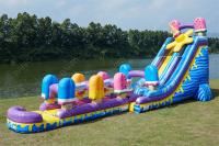 China Amazing 24 ft Ice Cream Inflatable Slide Inflatable Water Slide for Sale for sale