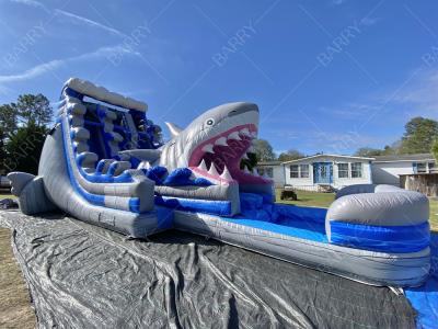 China Indoor Outdoor Castillo Inflable Bouncer Shark Theme Slide With Pool Inflatable Water Double Slides For Kids for sale