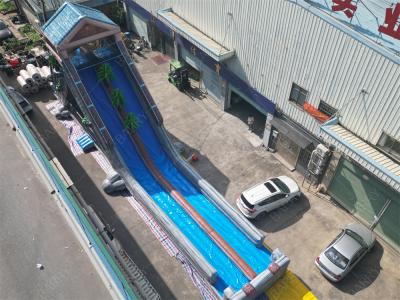 China Commercial Grade Giant Inflatable Water Slide, Tropical Themed Dual Lane Wet/Dry Slide For Amusement Parks & Festivals for sale