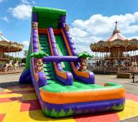 China 18ft Tall Safari Tiger Print Inflatable Water Slide – Commercial-Grade Jungle Adventure for sale