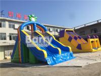 China PVC Tarpaulin Double Lanes Inflatable Water Slides Frog For Swimming Pool for sale