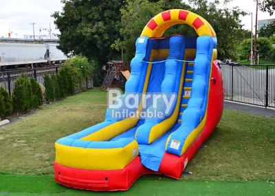 China Commercial PVC Outdoor Water Park Slide Inflatable With Customized Logo for sale