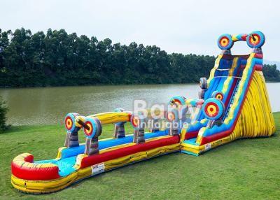 China Animal Theme Inflatable Water Slides , Customized Size 25 FT Target for sale