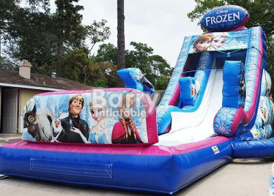 China 0.55mm PVC Frozen Inflatable Water Slide With Pool / Giant Amusement Water Park Game for sale