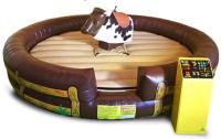 China Inflatable Mattress Rodeo Mechanical Crazy Bull For Amusement Park for sale
