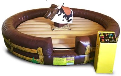 China Inflatable Mattress Rodeo Mechanical Crazy Bull For Amusement Park for sale