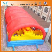 China Teenagers Inflatable Bouncy Castle For Theme Park Tear Resistance for sale