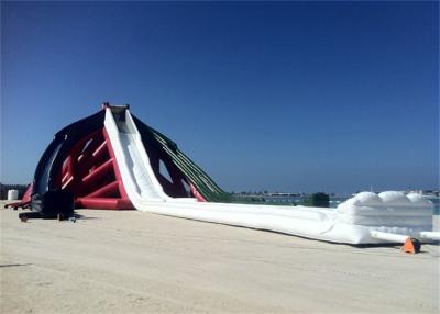 China Rentable Wonderful Backyard Massive Inflatable Water Slide For Kids for sale