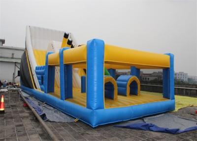 China Exciting Pirate Ship Giant Inflatable Water Slide With Waterproof Plato PVC Tarpaulin for sale