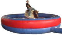 China Adult Playing Inflatable Mechanical Bull , Tarpaulin Mechanical Rodeo Bull for 1 Person for sale