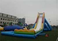 China Outdoor Giant Hippo Inflatable Water Slides And Pool For Adults for sale