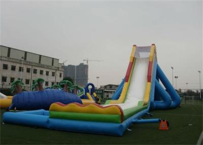 China Outdoor Giant Hippo Inflatable Water Slides And Pool For Adults for sale