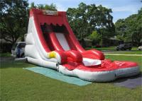 China Charming Colorful Fire Resistant Inflatable Water Slip and Slide With Pool for sale
